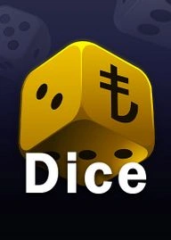 Neteller Deposit at High Roller Casino | Online Play Interaction NZ